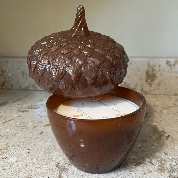 Pottery Barn | Other | New Pottery Barn Handcrafted Harvest Spice Acorn ...